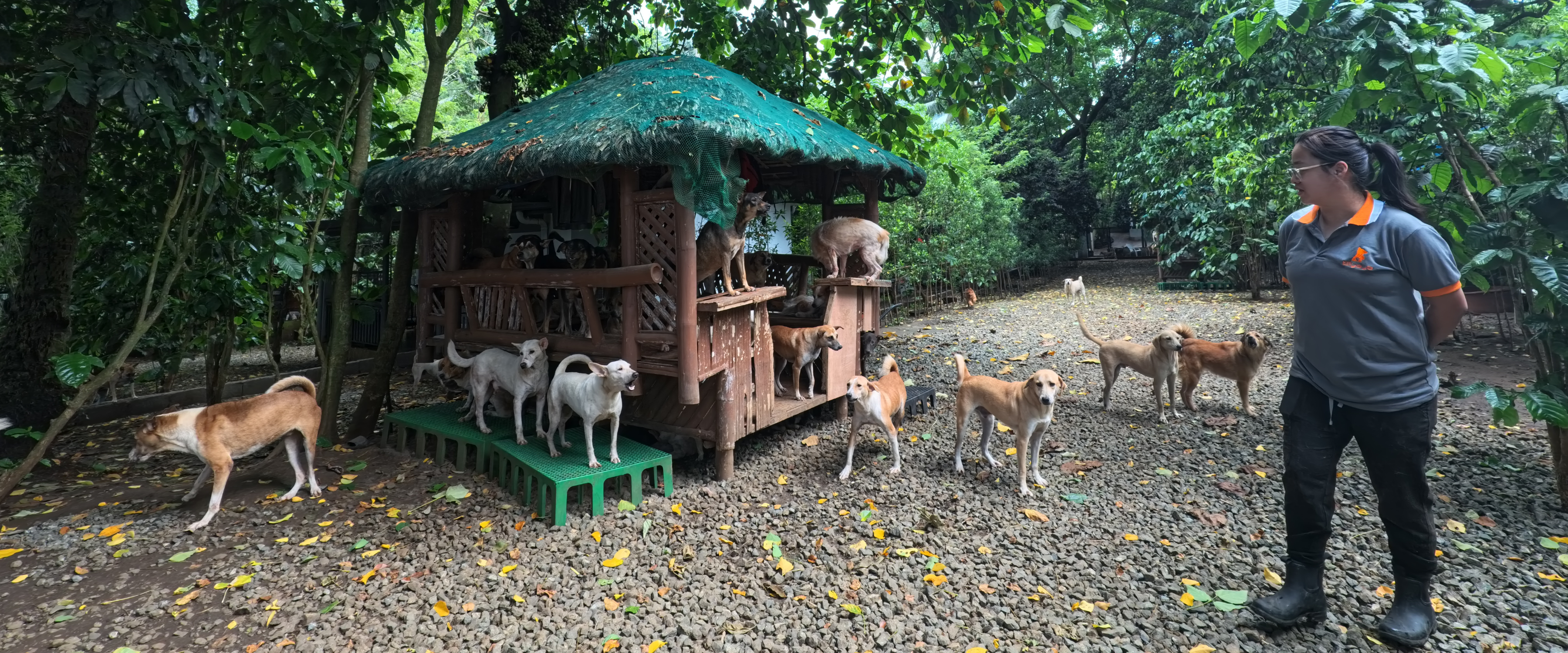 - Ayala Corporate Citizenship and Volunteerism Platform